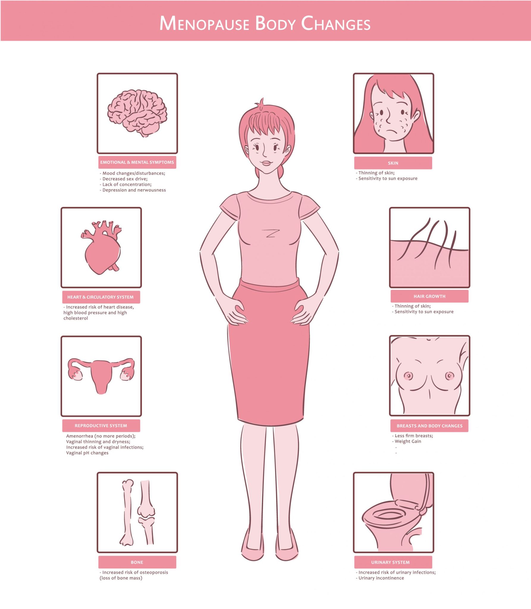 Menopause Made Clear: Exploring Stages and Common Symptoms - DocHQ's Blog